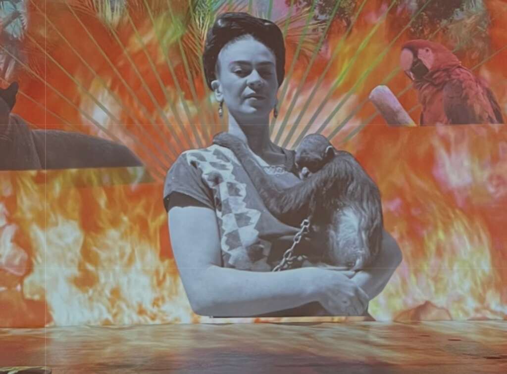 Exposición inmersiva de Frida Kahlo: costos, horarios y todo lo que ...