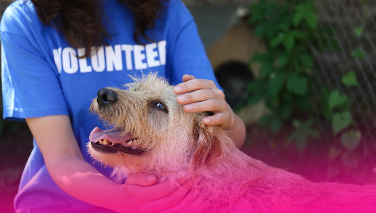 Ailynn: la niña de 9 años que convirtió su amor por los animales en un ...