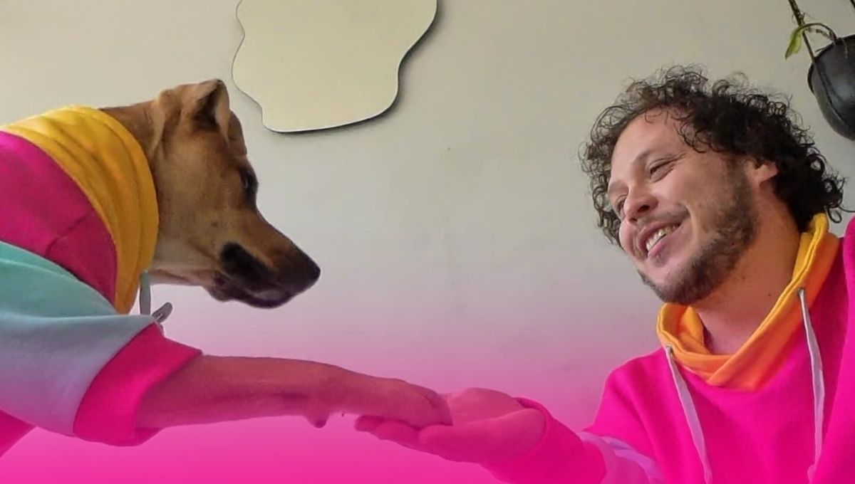 Bandida del Carmen: la perrita rescatada de la calle que se convirtió ...
